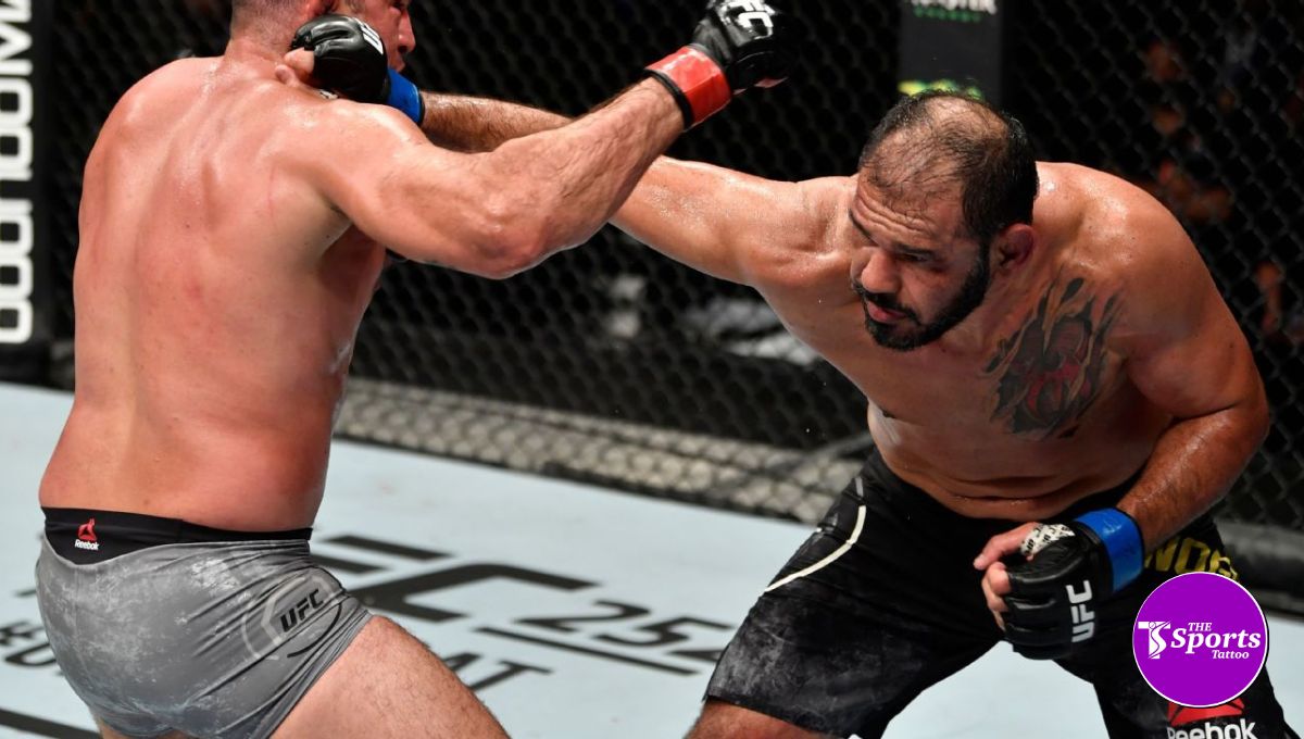 Antonio Rogerio Nogueira Biography, Wiki, Net Worth, Brother, Record ...